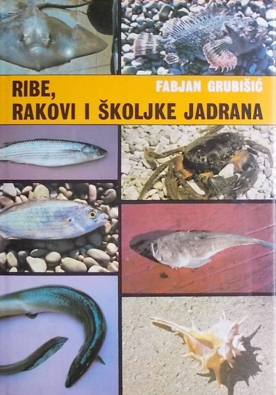 Ribe, rakovi i školjke Jadrana | Knjižara i antikvarijat Brala | Zagreb